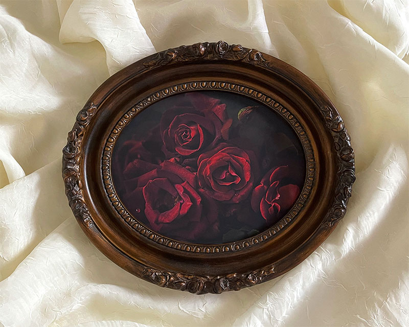 Vintage Rose Frame